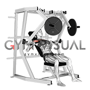 Lever Decline Chest Press (female)