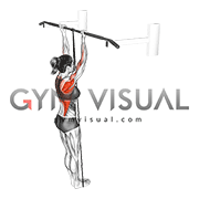 Band Assisted Chin Up (female)