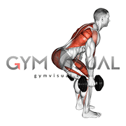 Dumbbell Step Back Lunge and Row