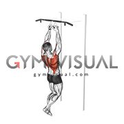 Chin ups (narrow parallel grip)