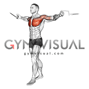 Cable Standing Up Straight Crossovers